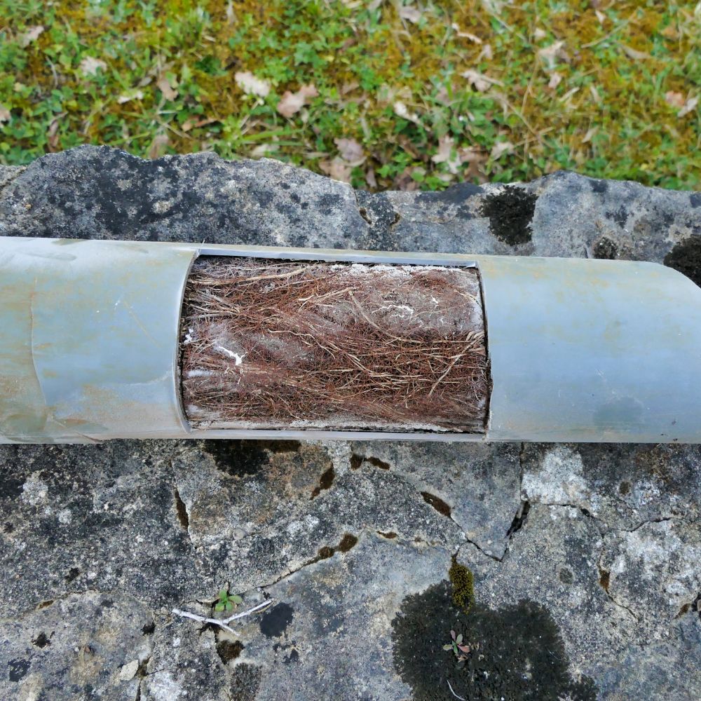 Professional Drainage Pipe Leak Solutions | Citi Plumbing Singapore